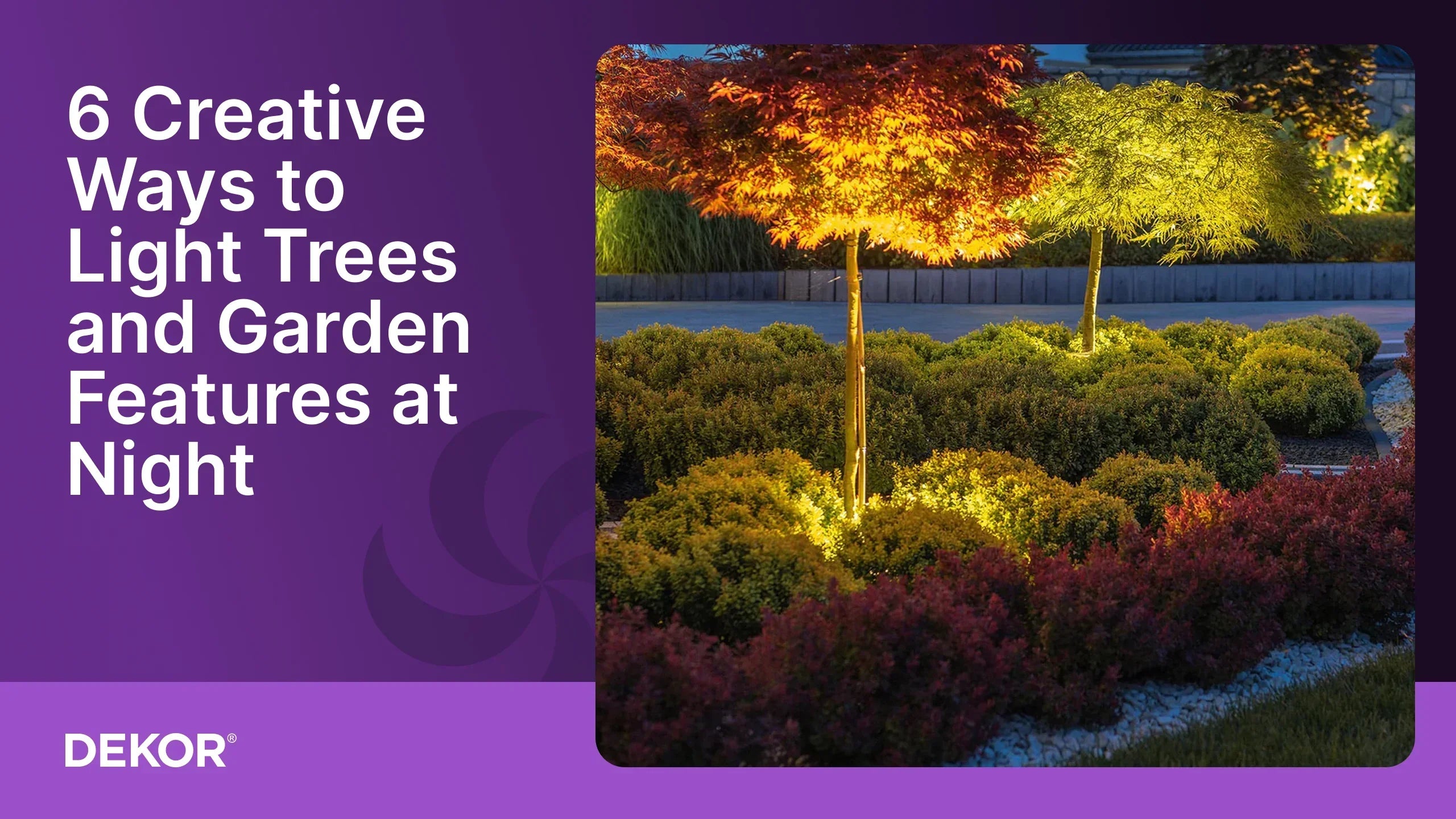 6 Creative Ways to Light Trees and Garden Features at Night | DEKOR ...